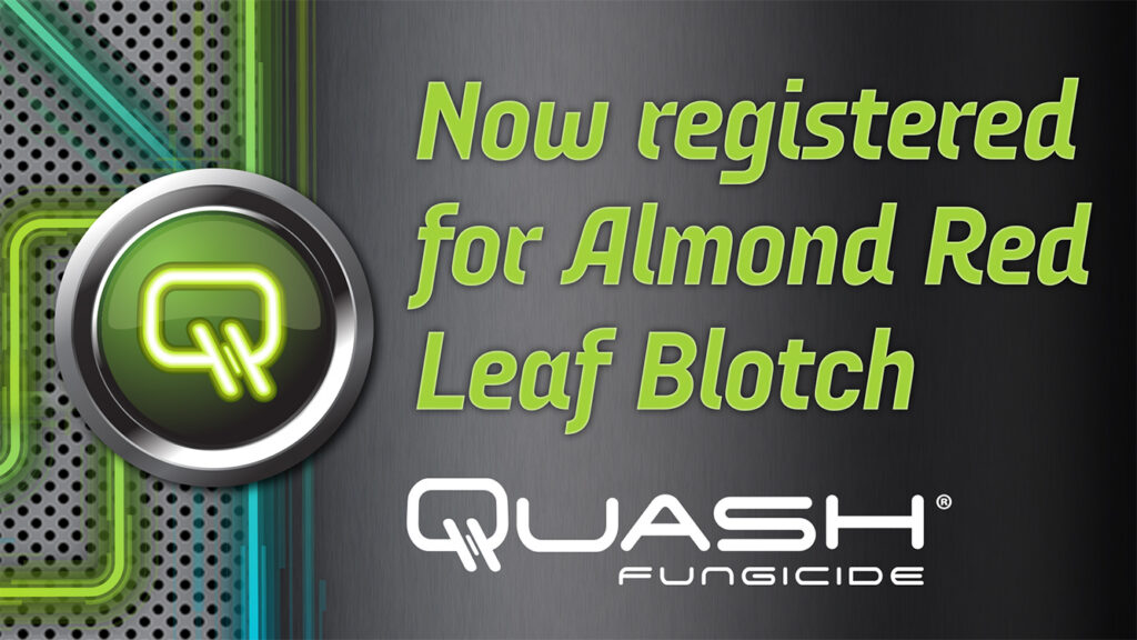 Quash® Fungicide | Valent