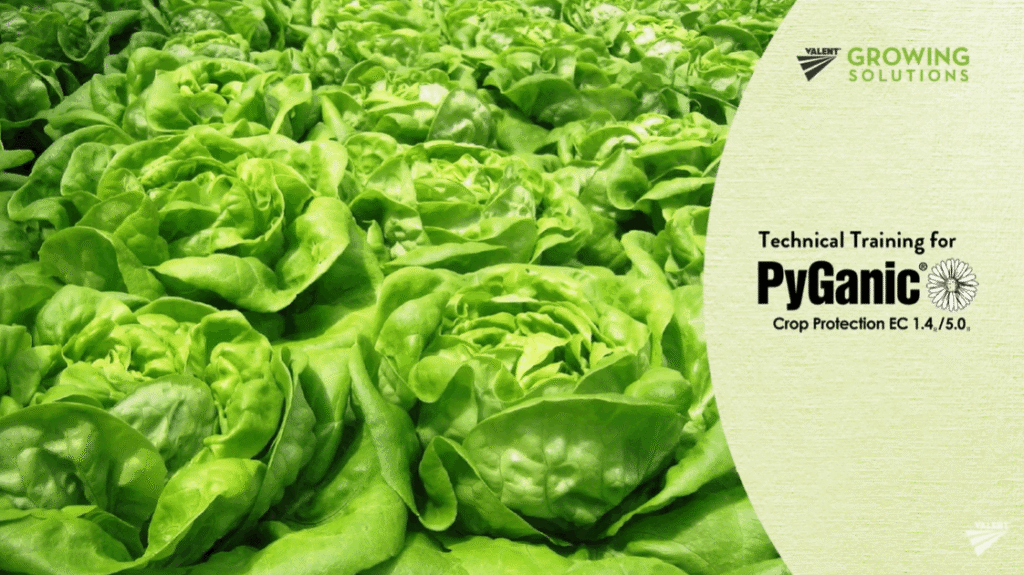 Pyganic® Crop Protection EC 5.0 | Valent
