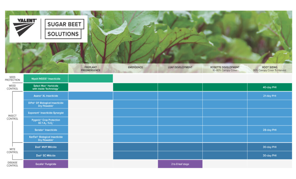 Sugar Beets | Valent